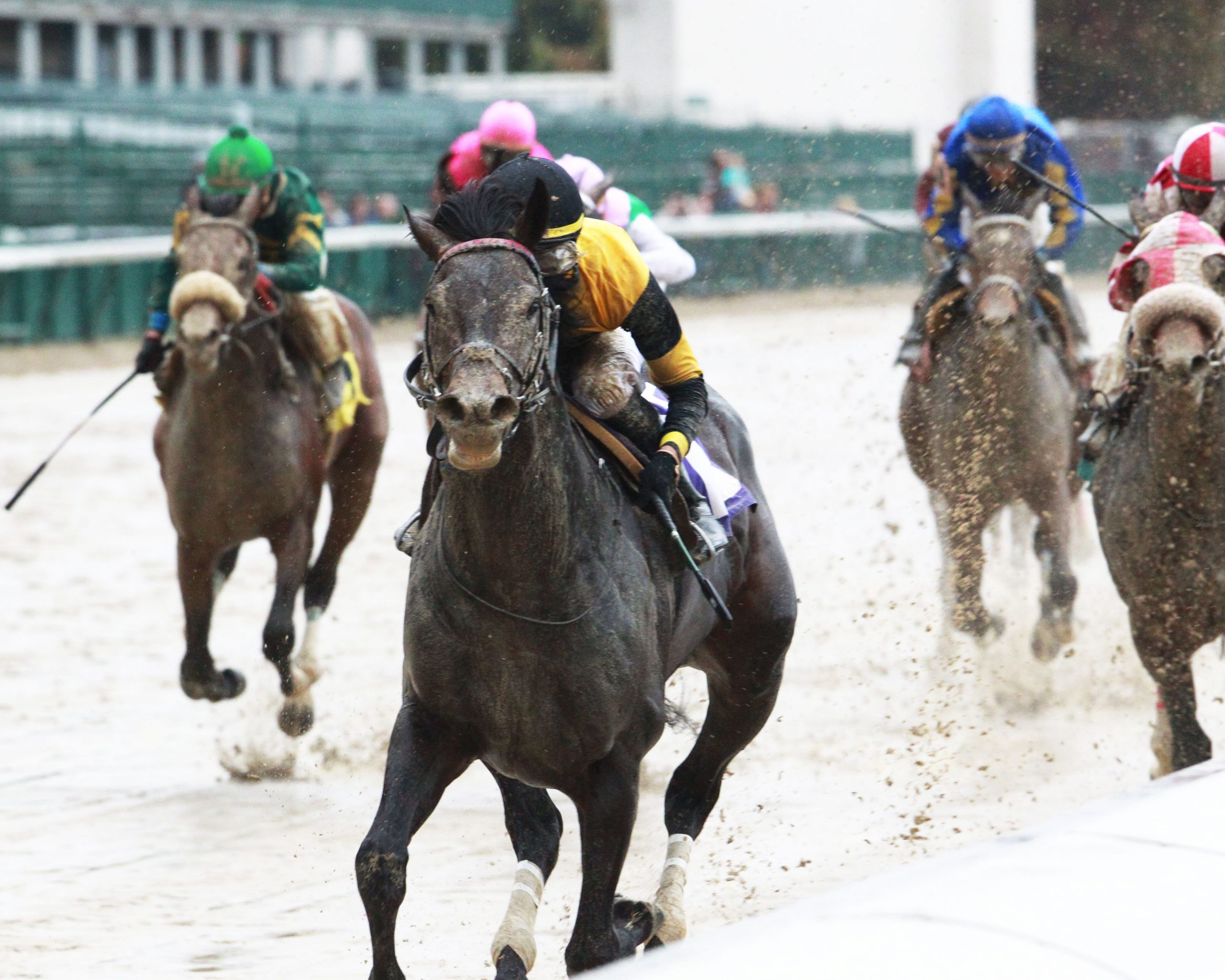 Flying the Flag Eyes Prize in Wide-Open Pimlico Special - West Point ...