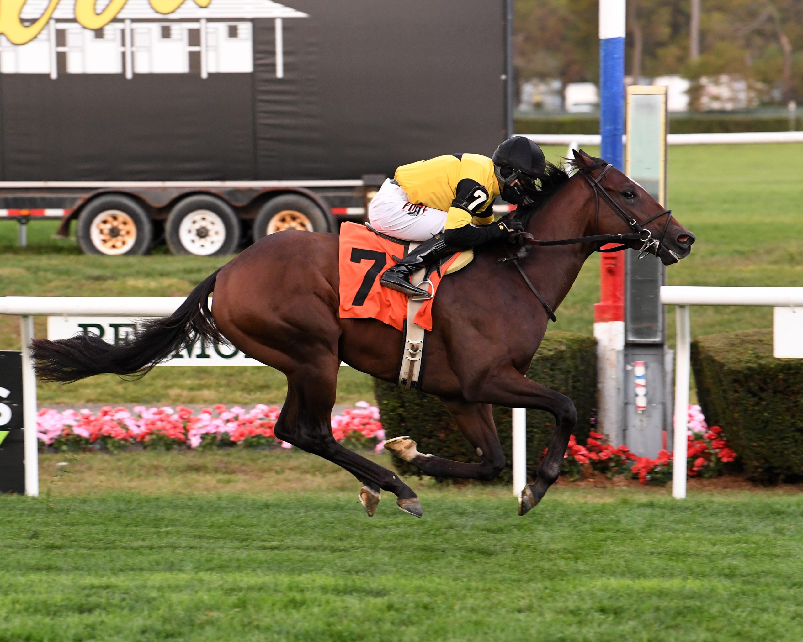 Phantom Smoke surges to debut victory at Belmont - West Point Thoroughbreds