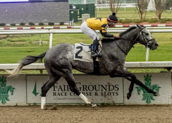 Swot Analysis Archives - West Point Thoroughbreds