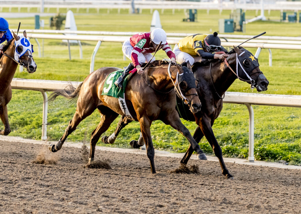 Bountiful Season Has Plenty Still Ahead Before '24 - West Point ...