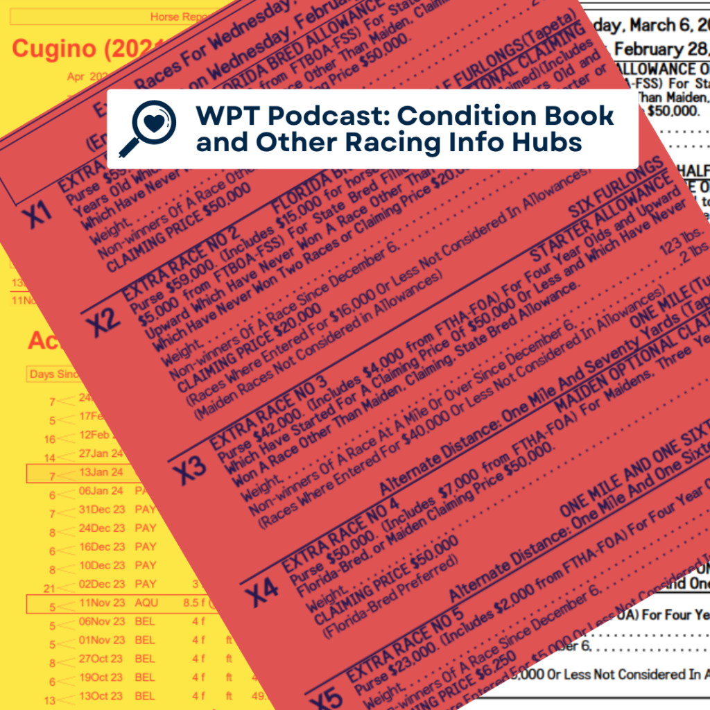 In-Depth on the Condition Book - West Point Thoroughbreds