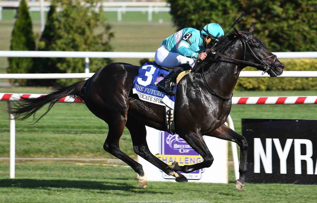 Intricate Spirit Favored for Return in Texas Glitter - West Point ...