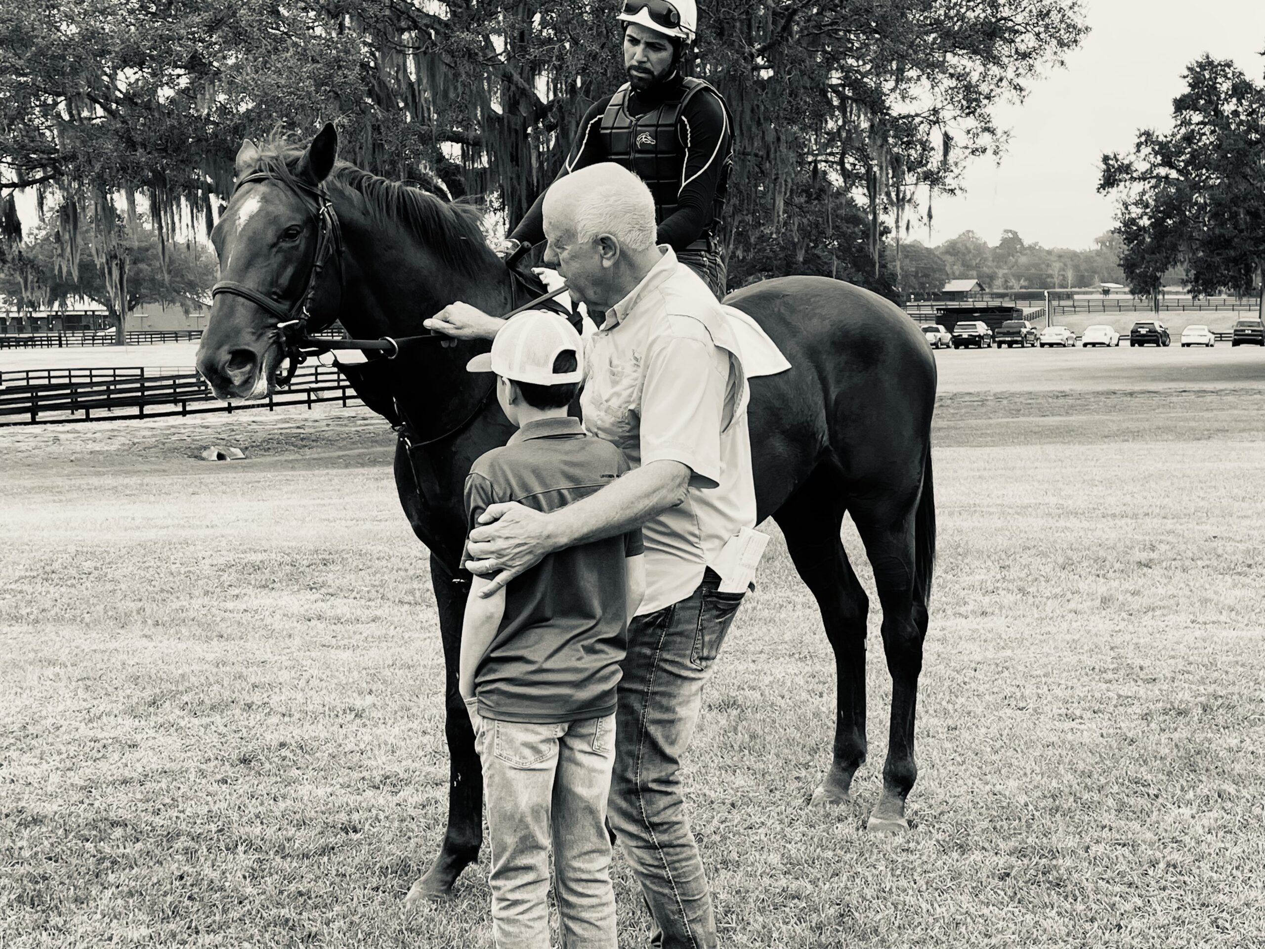 Breaking and Training Yearling Thoroughbreds: The Journey from Sales ...