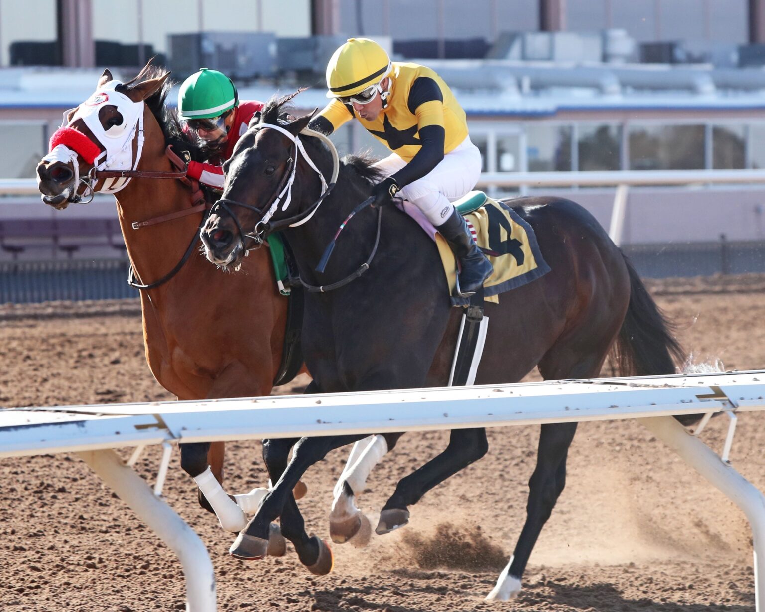 Multiple Champion Jaxon Traveler Retires Sound at Age 7 - West Point ...
