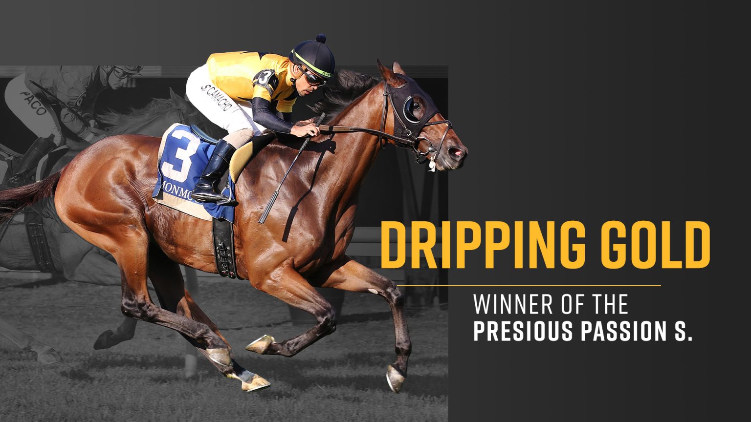 Dripping Gold Rises to Stakes Glory at Age 6 - West Point Thoroughbreds