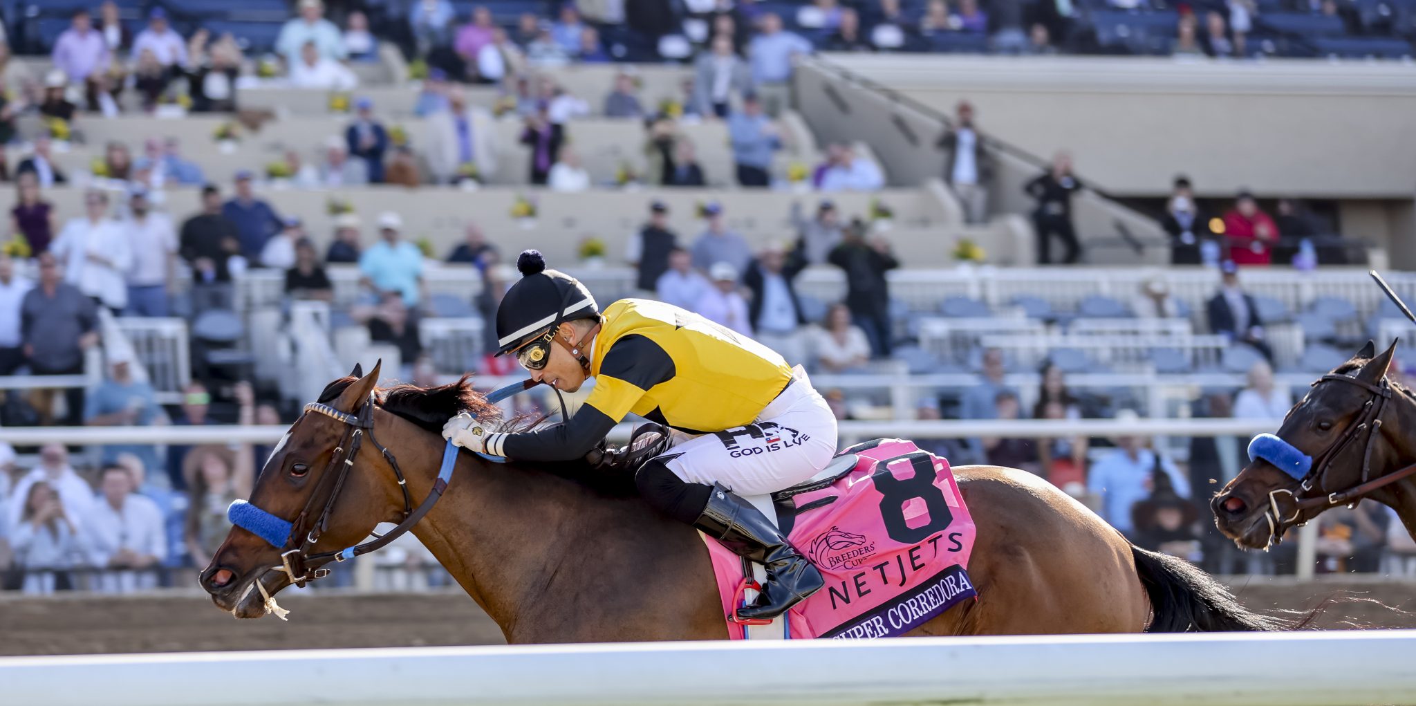 Super Corredora Soars to a Breeders' Cup Championship - West Point ...